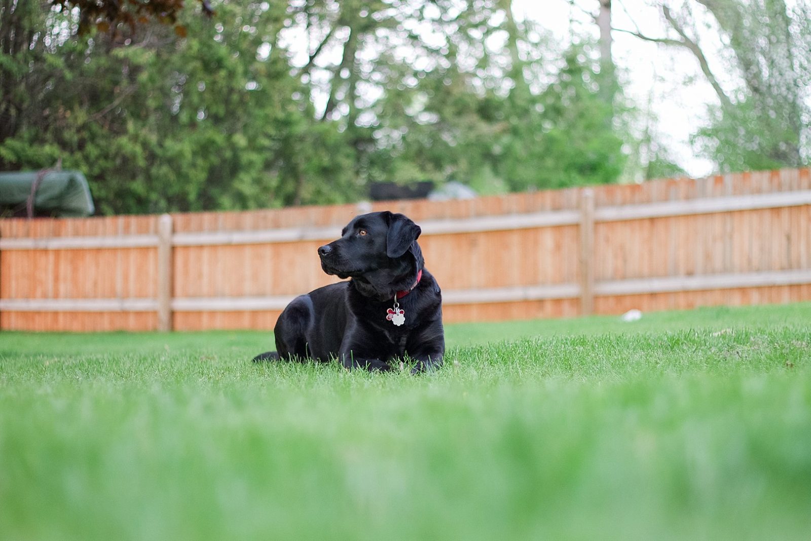 Madeline & Emma | An Official Introduction - erinmariephoto.com